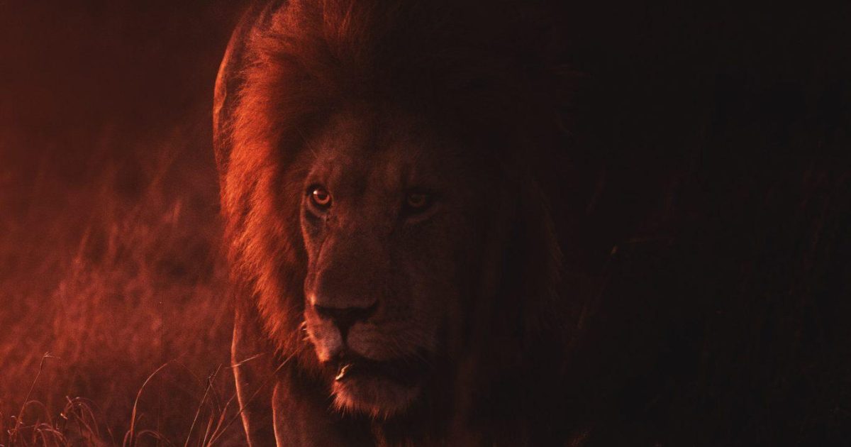 What is it to be brave in God’s eyes? - Evangelical Alliance